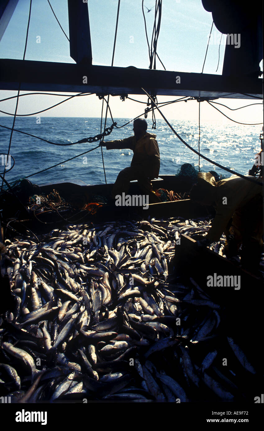 Fish net trawler catch hi-res stock photography and images - Alamy