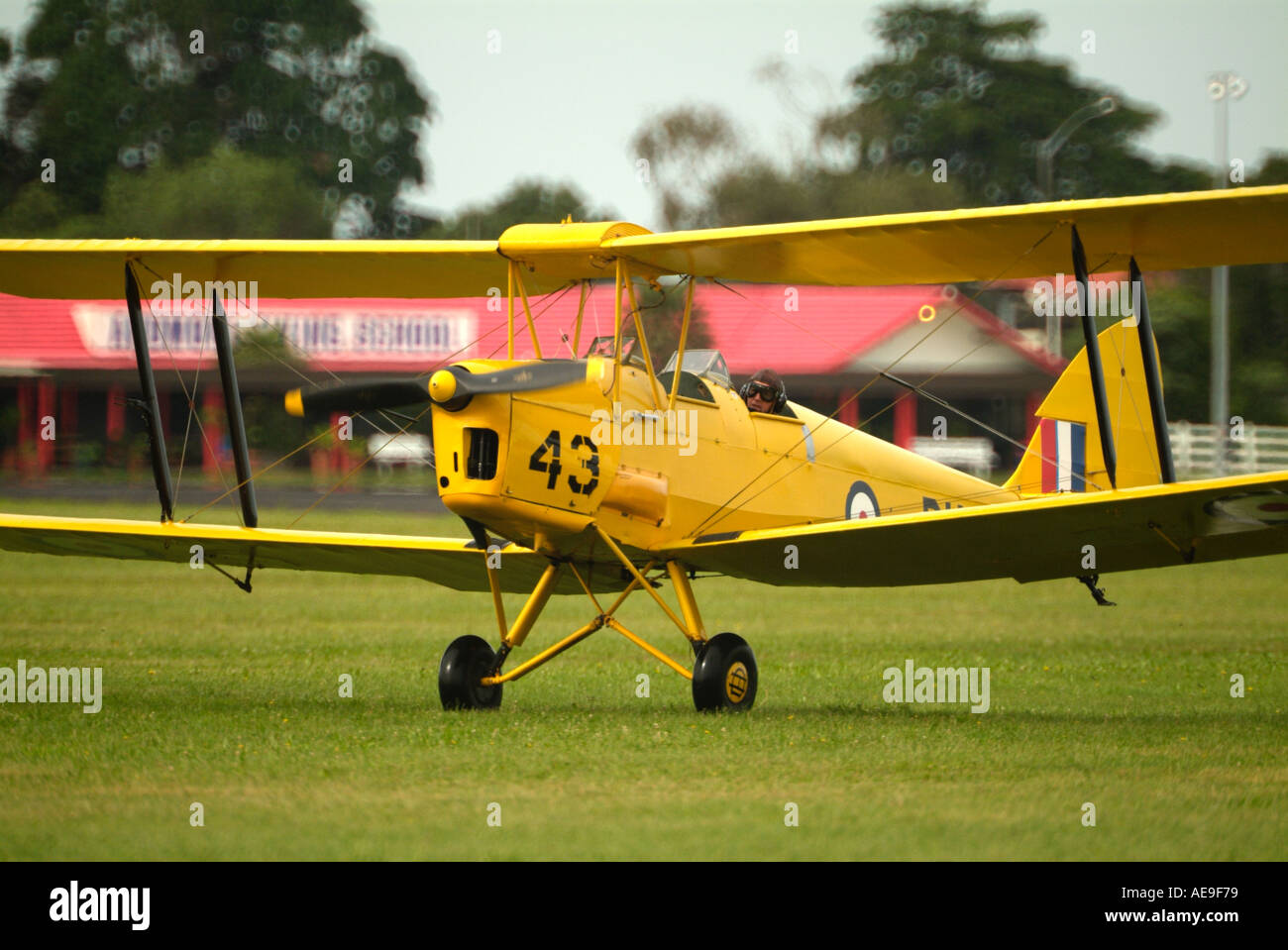 Tiger moth aircraft ww2 hi-res stock photography and images - Alamy