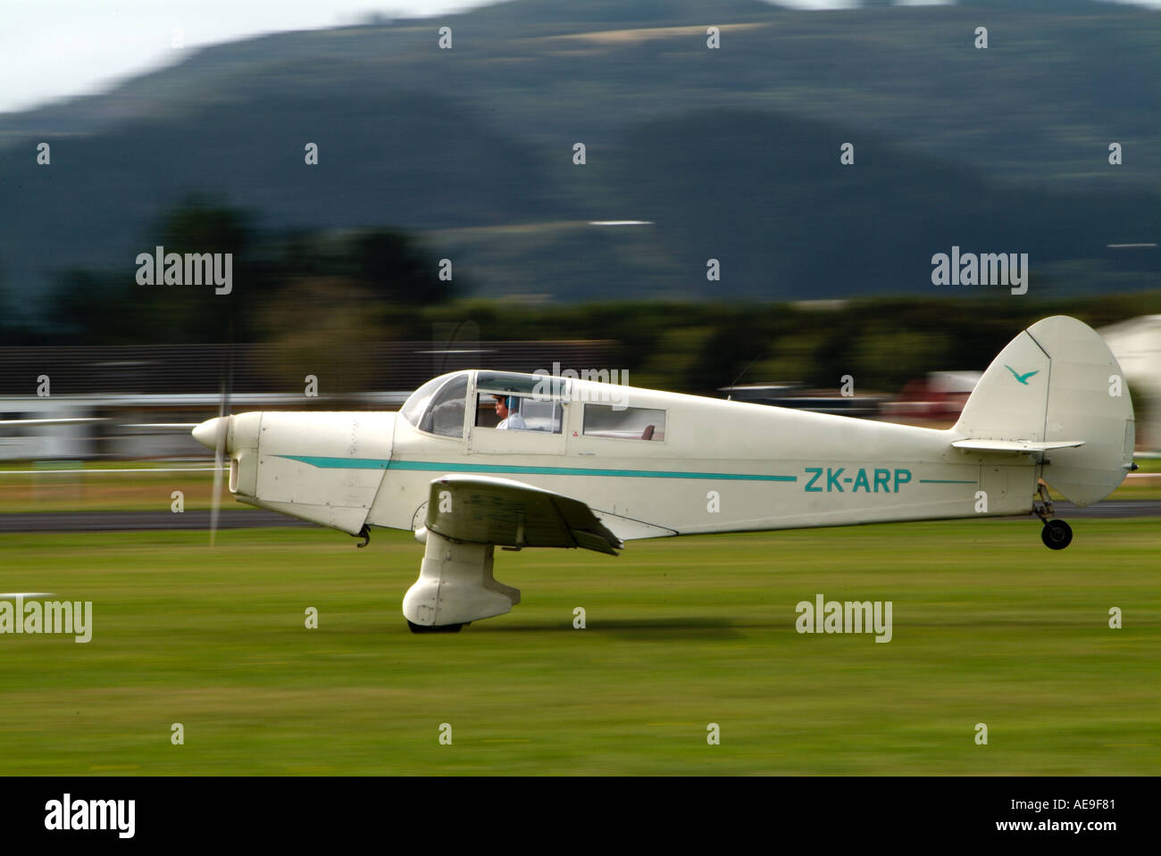 Percival gull hi-res stock photography and images - Alamy