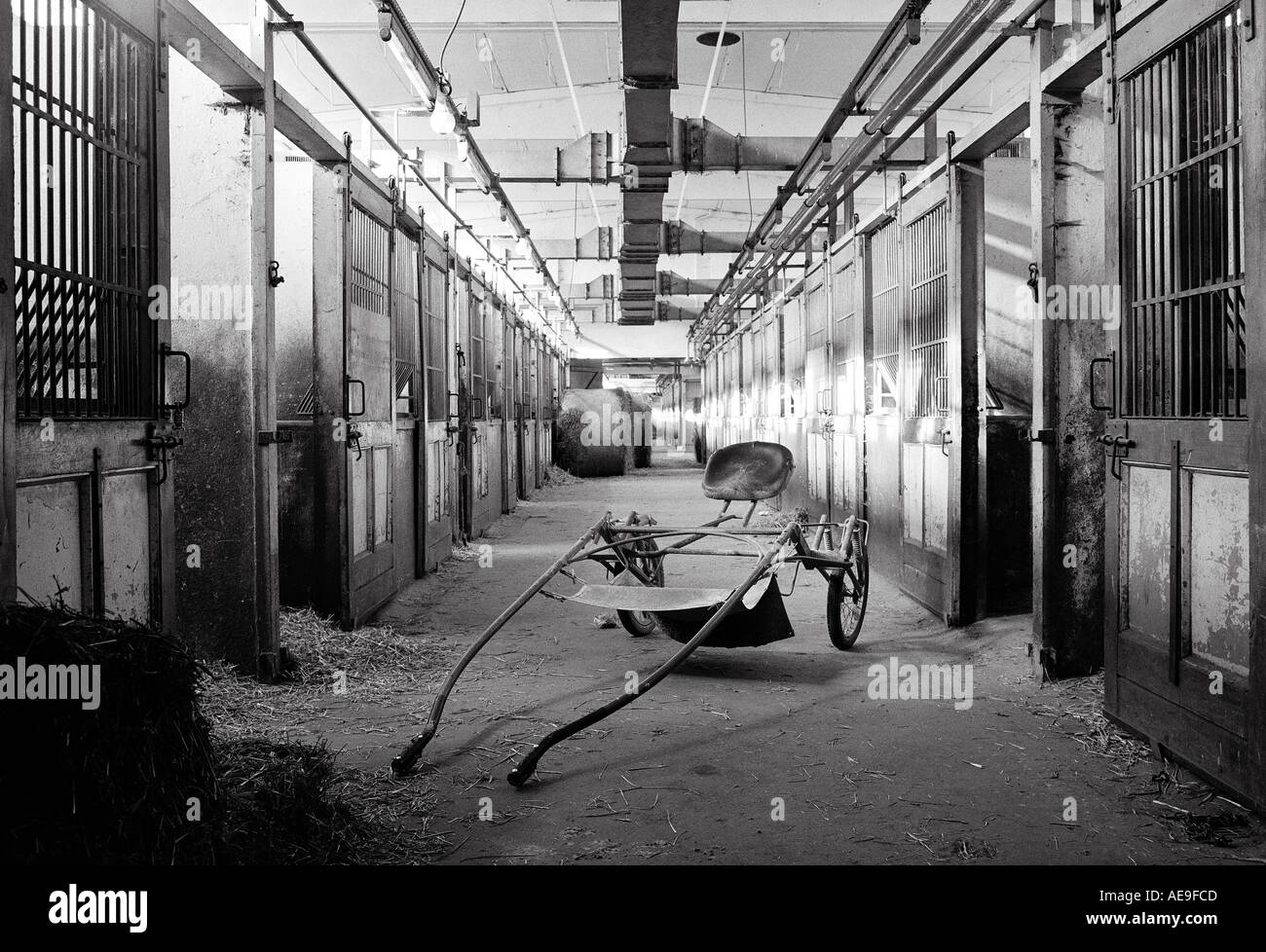 Trotter stable with racing car Stock Photo - Alamy