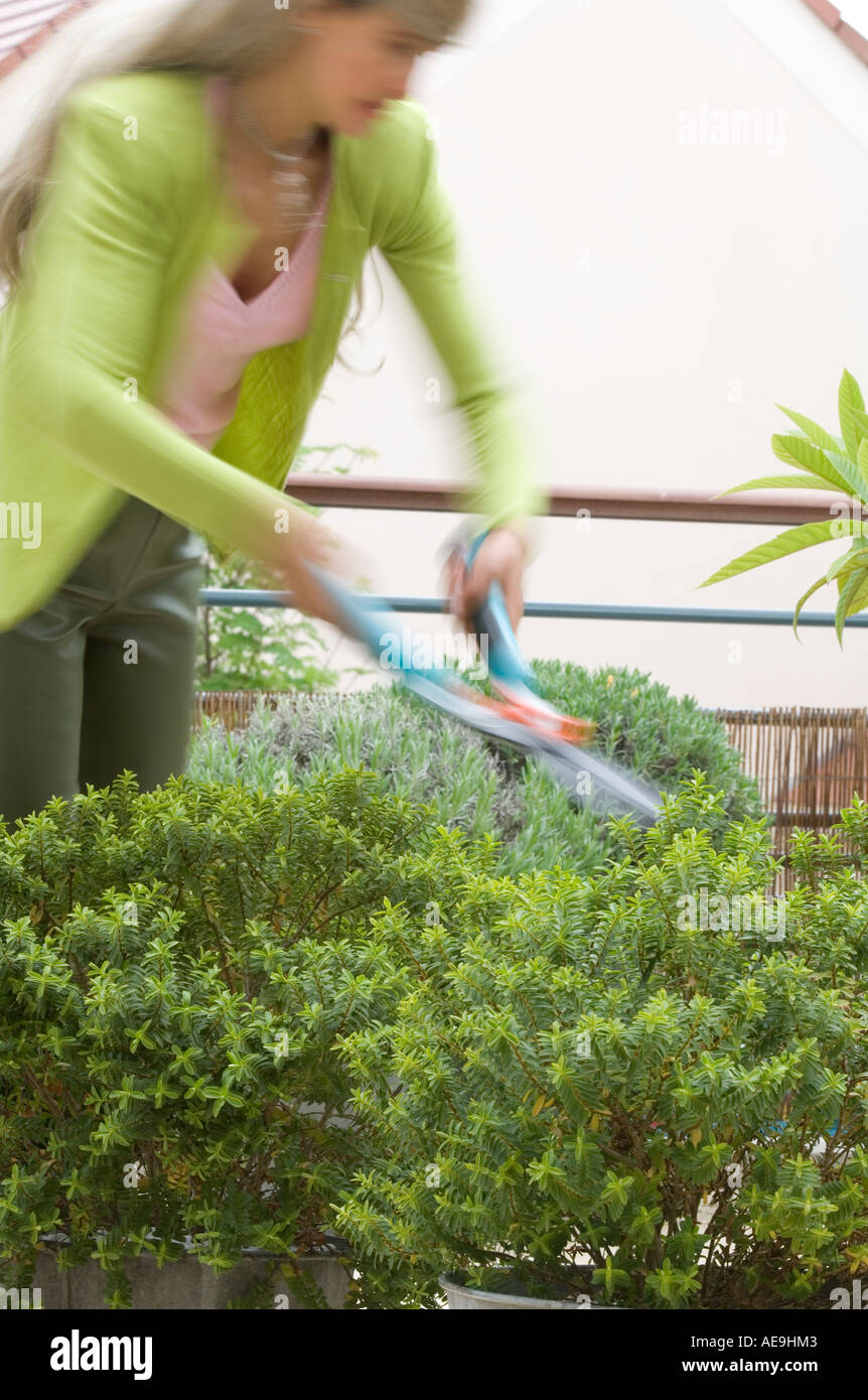 Woman pruning a bush Stock Photo - Alamy