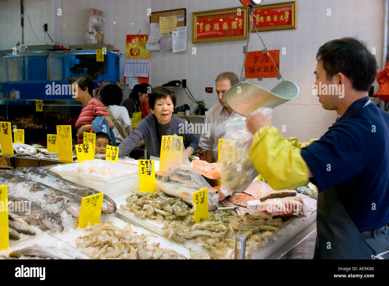 Fish shop at China Town Manhattan New York USA Stock Photo - Alamy