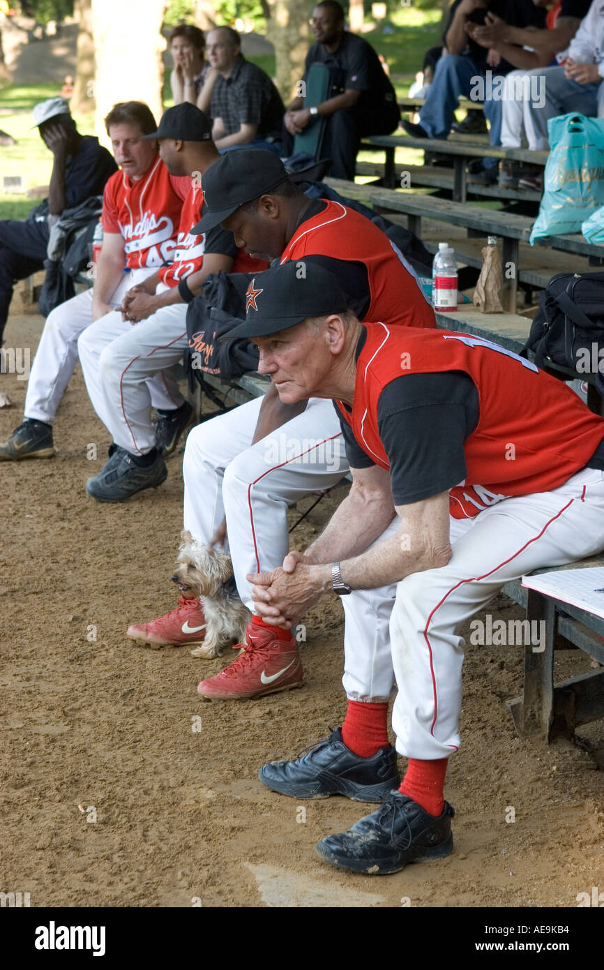 Baseball players and a dog sitting on a bench watching their team mates ...