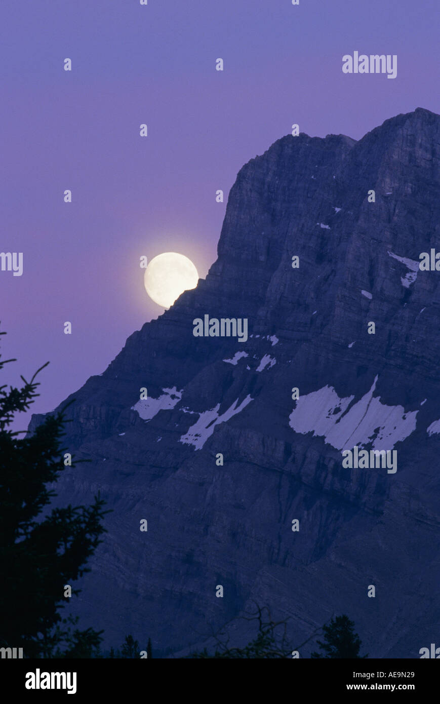 Moon rising over Mount Rundle at dusk Banff National Park Alberta ...