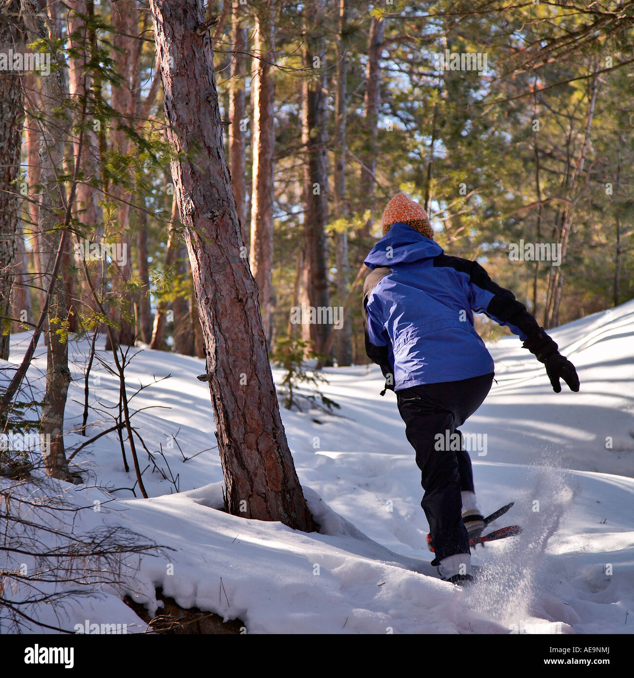 Killarney provincial park winter hi-res stock photography and images ...