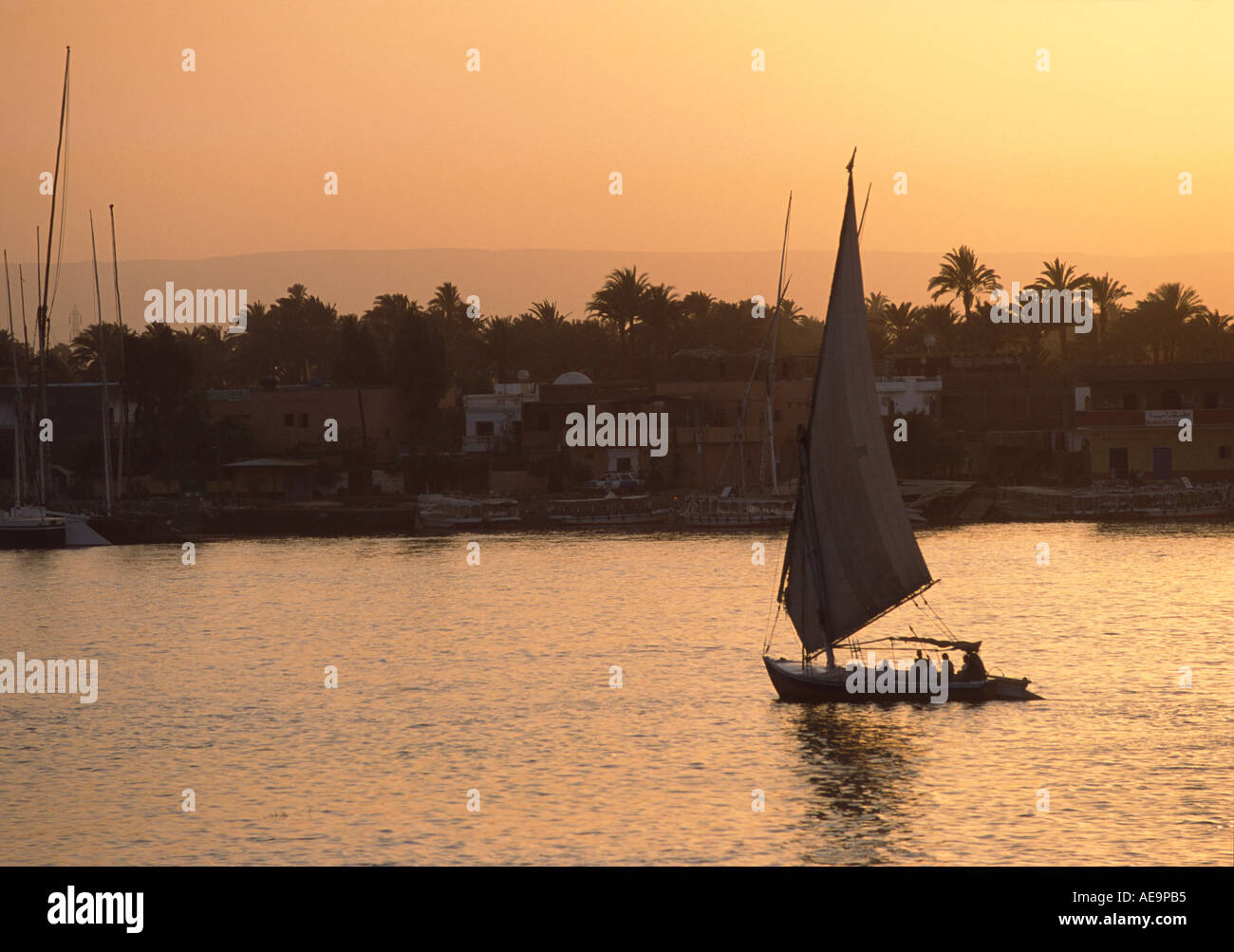 Felucca sailing on the River Nile at sunset, Luxor, Egypt Stock Photo ...