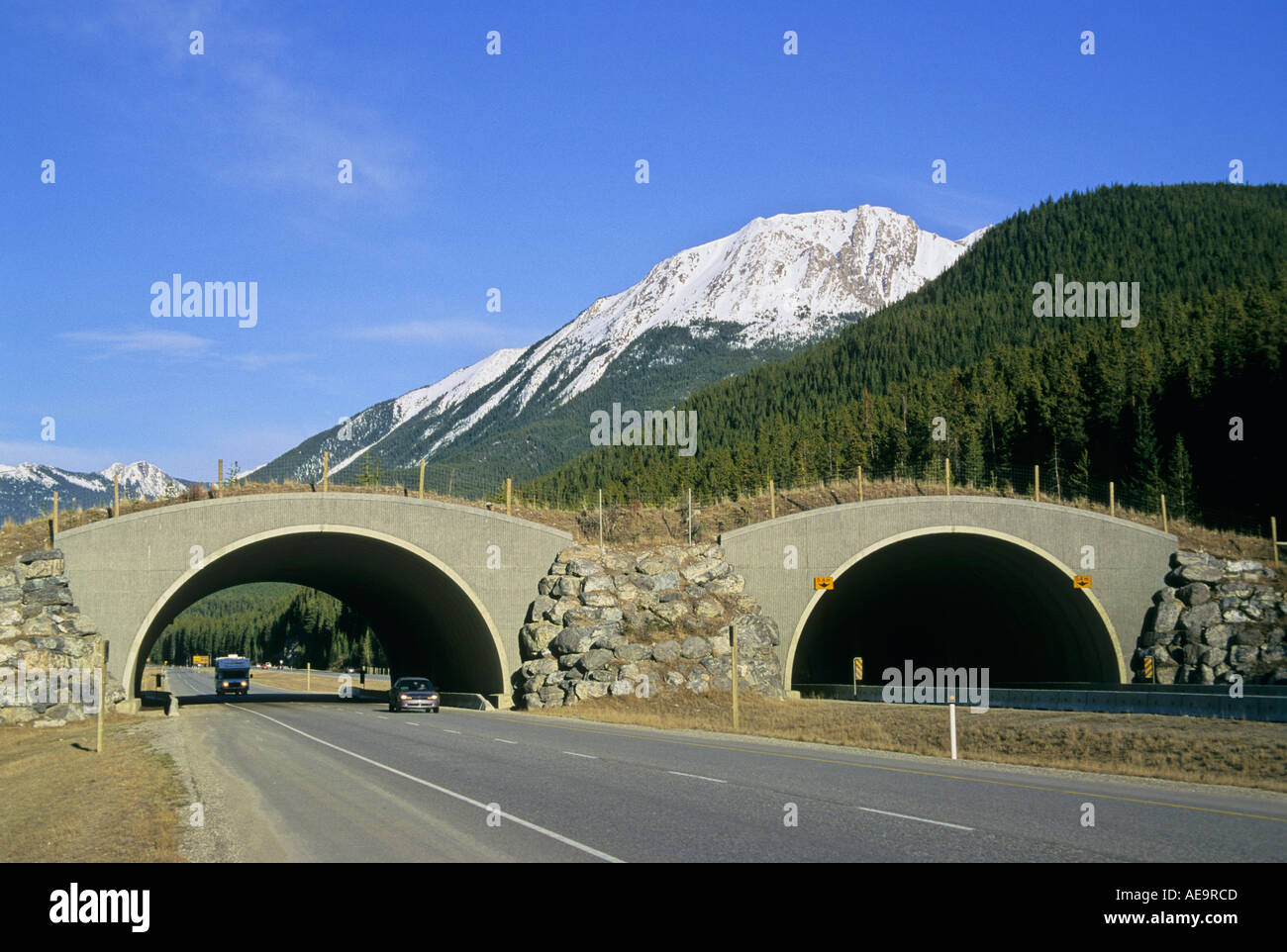Wildlife corridor and highway hi-res stock photography and images - Alamy