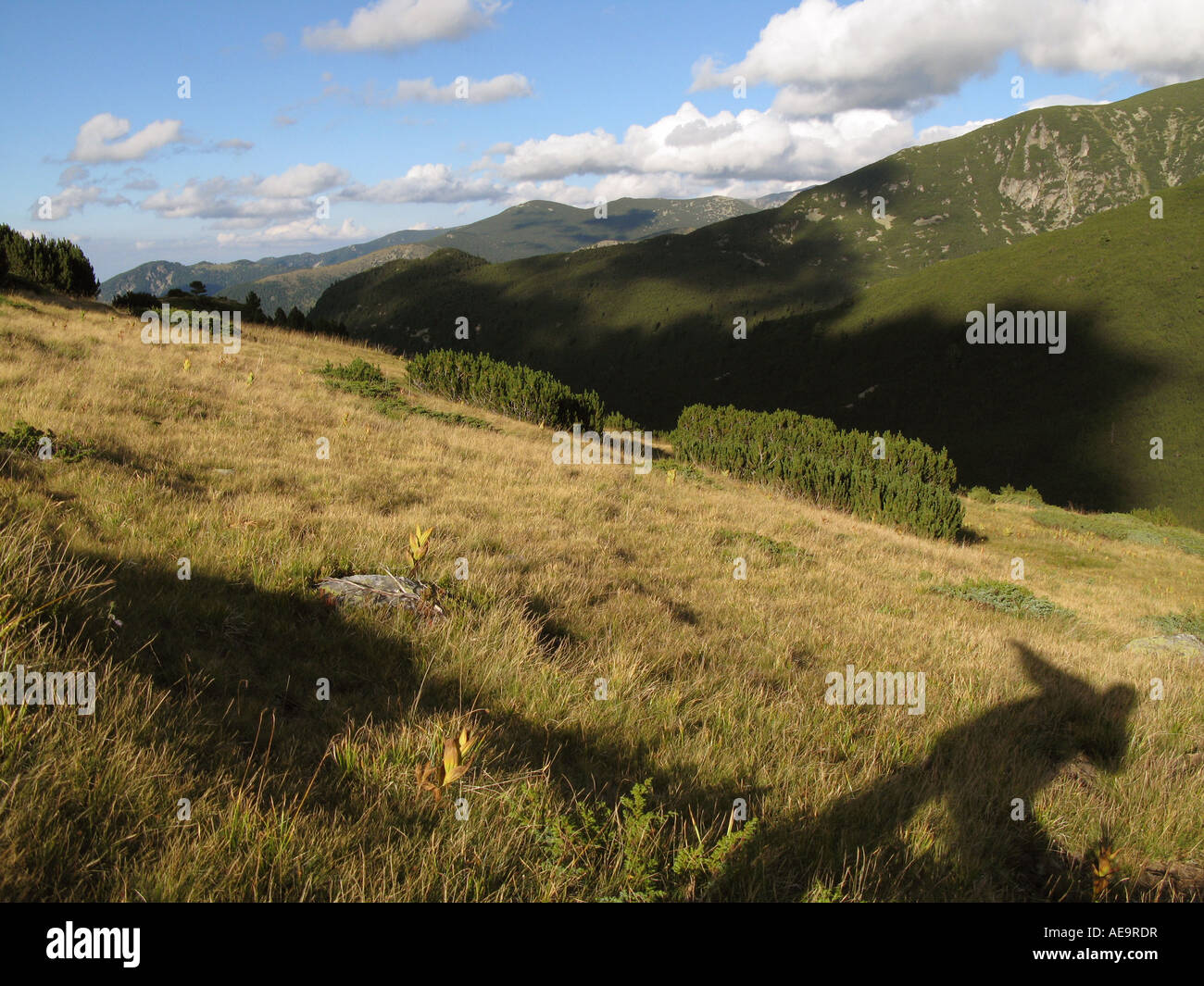 Rila mount, Bulgaria Stock Photo - Alamy