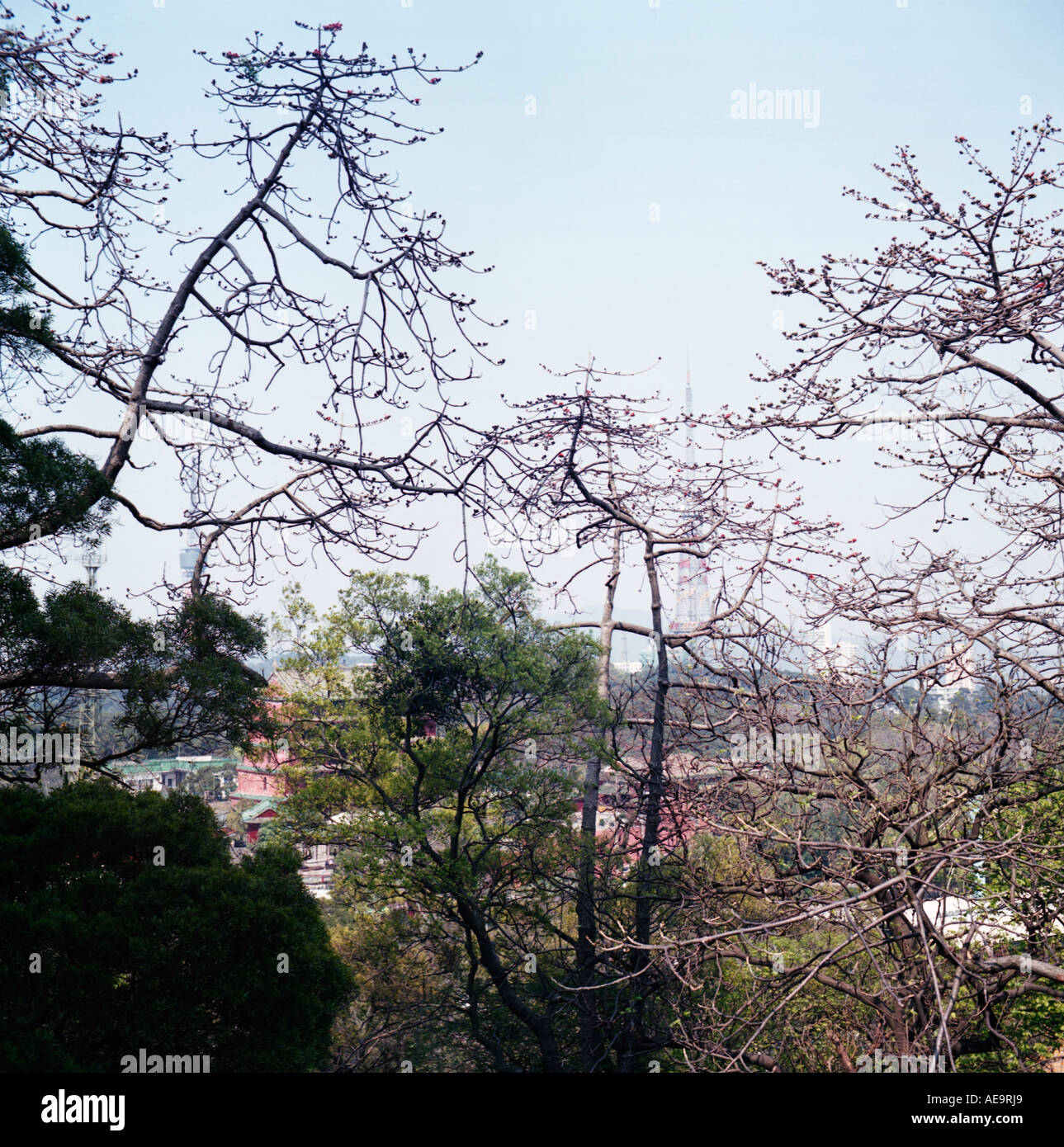 Yue xiu park hi-res stock photography and images - Alamy