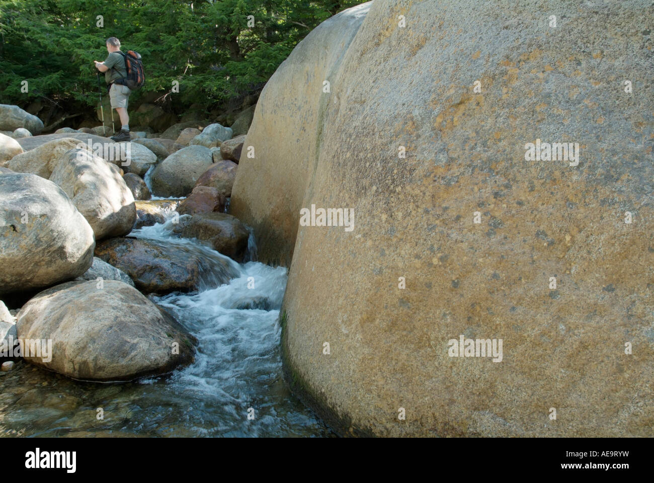 Rocky Branch Trail White Mountains New Hampshire USA Stock Photo - Alamy