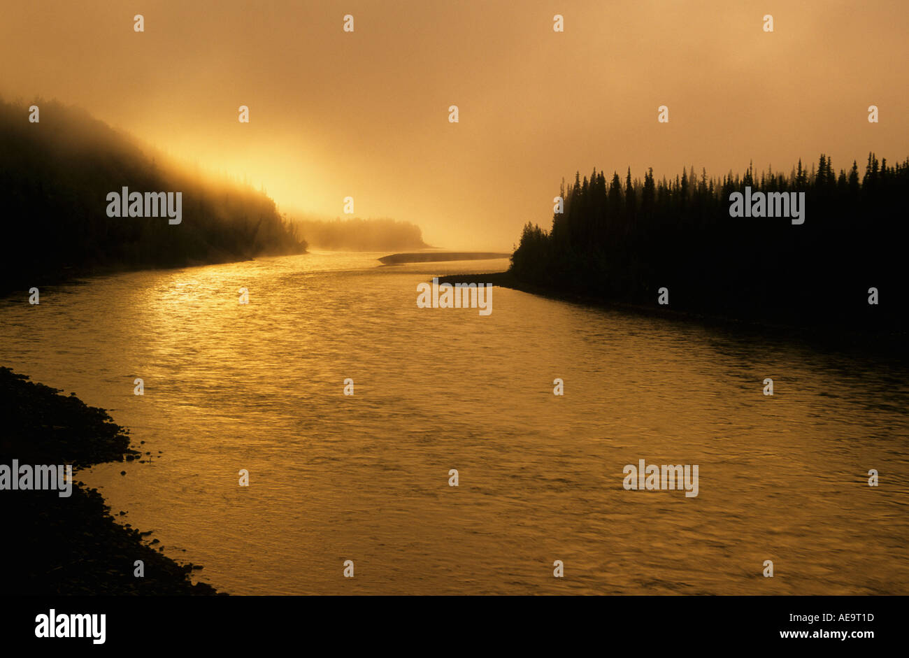 Stikine wilderness hi-res stock photography and images - Alamy