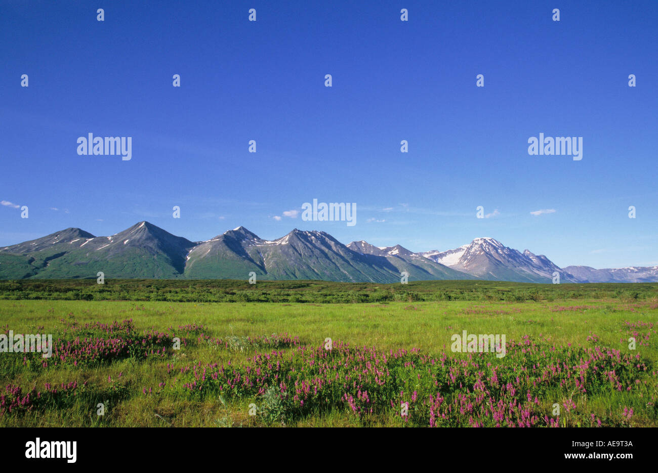 Headwaters of the Tatshenshini River Tatshenshini Alsek Provincial Park ...