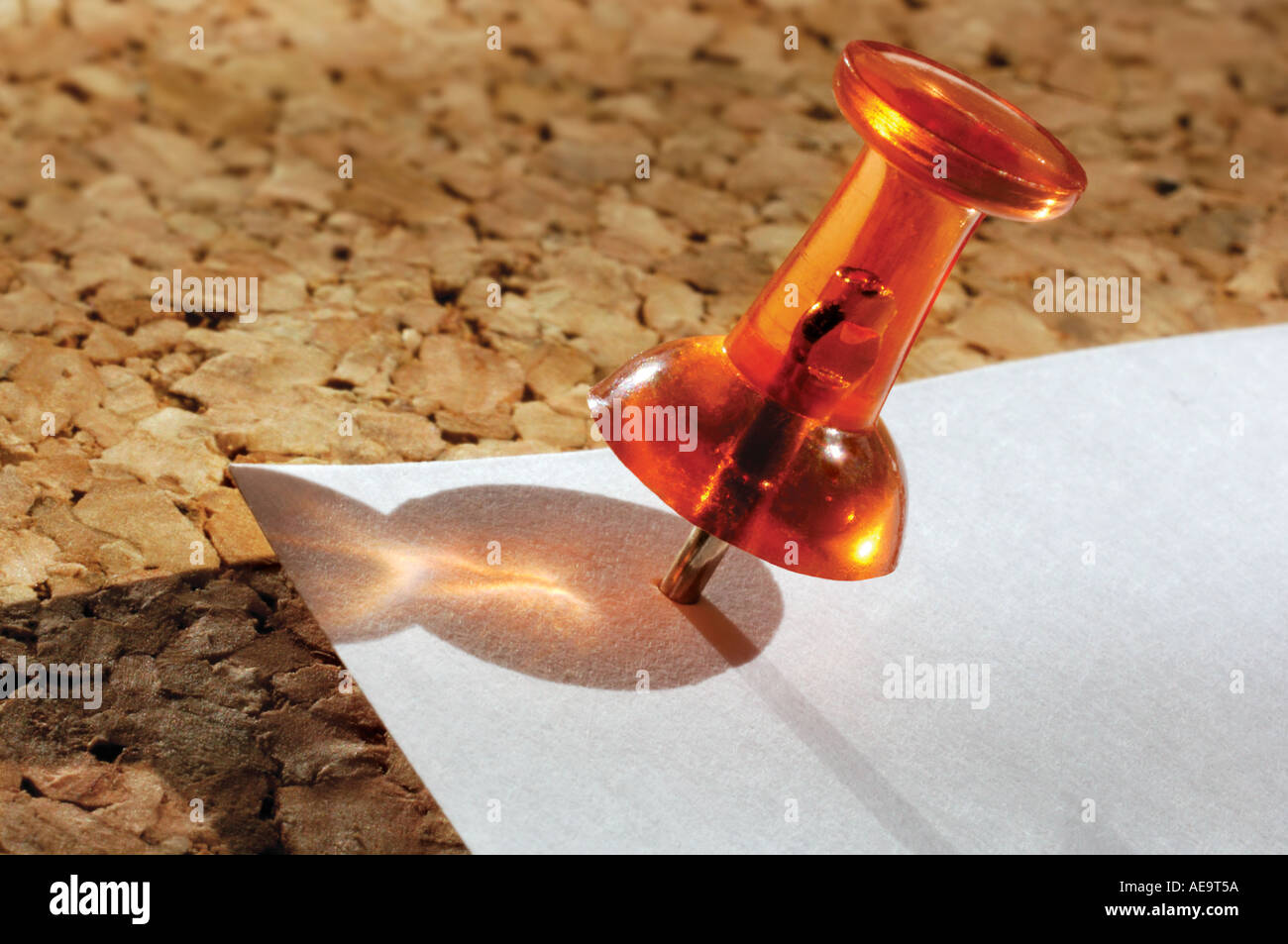 Memoboard hi-res stock photography and images - Alamy