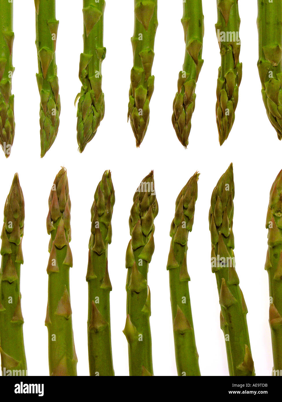Asparagus Cut Out Stock Images & Pictures - Alamy