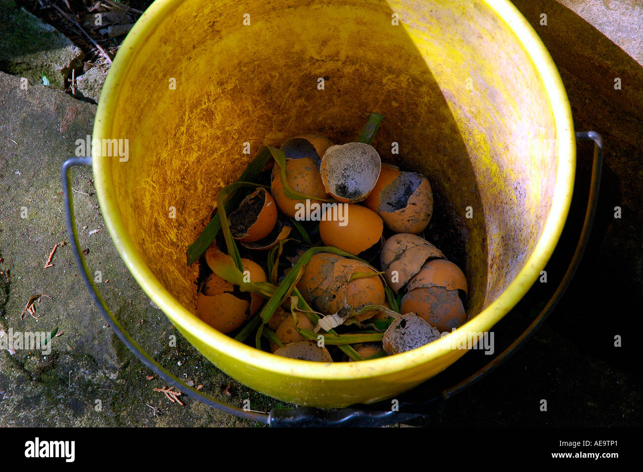 Egg Shells Waste Stock Photos & Egg Shells Waste Stock Images - Alamy