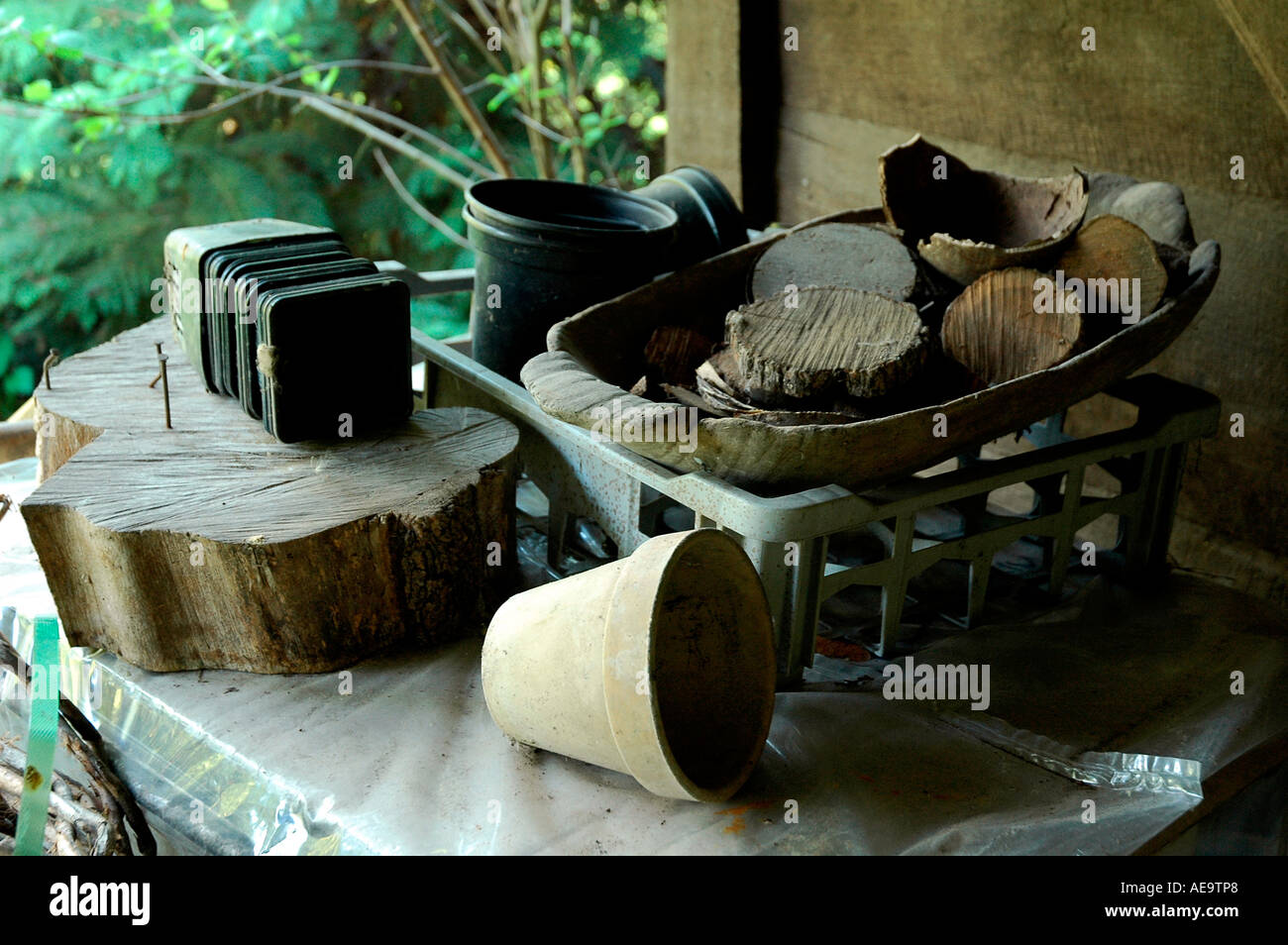 Serbian plant hi-res stock photography and images - Alamy