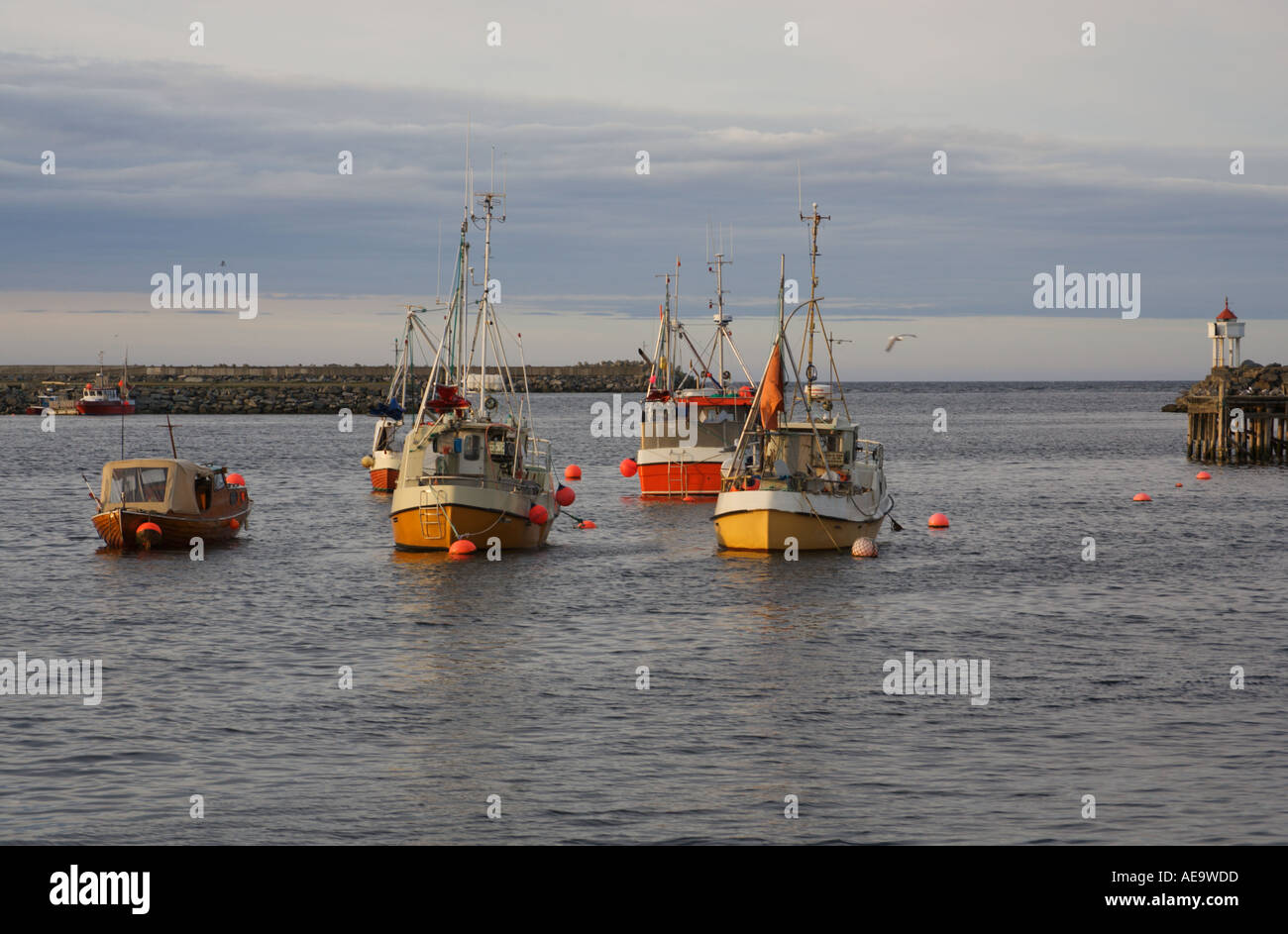 Fishing boats at Berlevag Harbour Finnmark Norway Stock Photo - Alamy