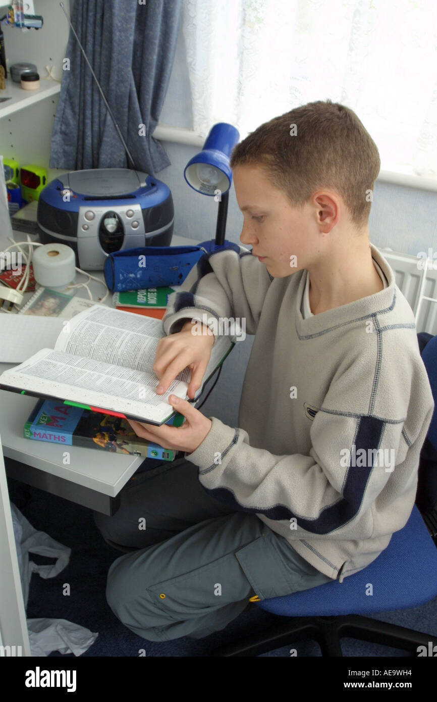 teenage boy studying in his bedroom Stock Photo - Alamy