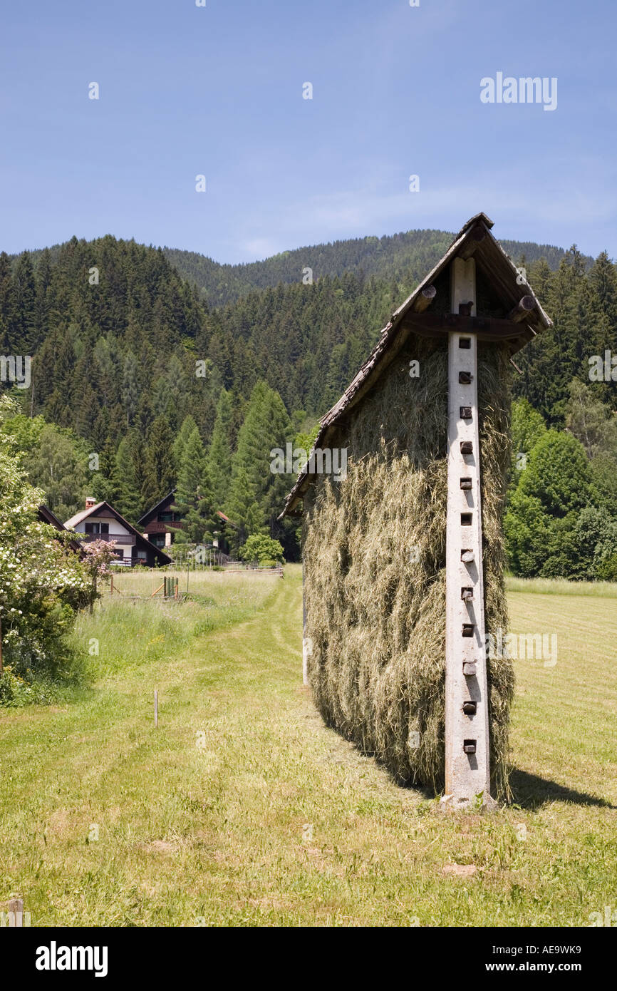 Podkoren Slovenia. Typical hay rack for drying cut grass in rural ...