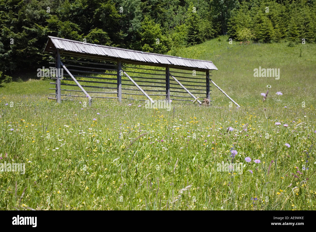 Podkoren Slovenia. Typical hay rack for drying cut grass in rural ...
