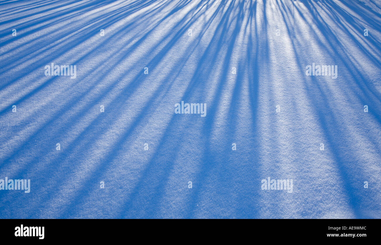 Repeated lines as texture hi-res stock photography and images - Alamy