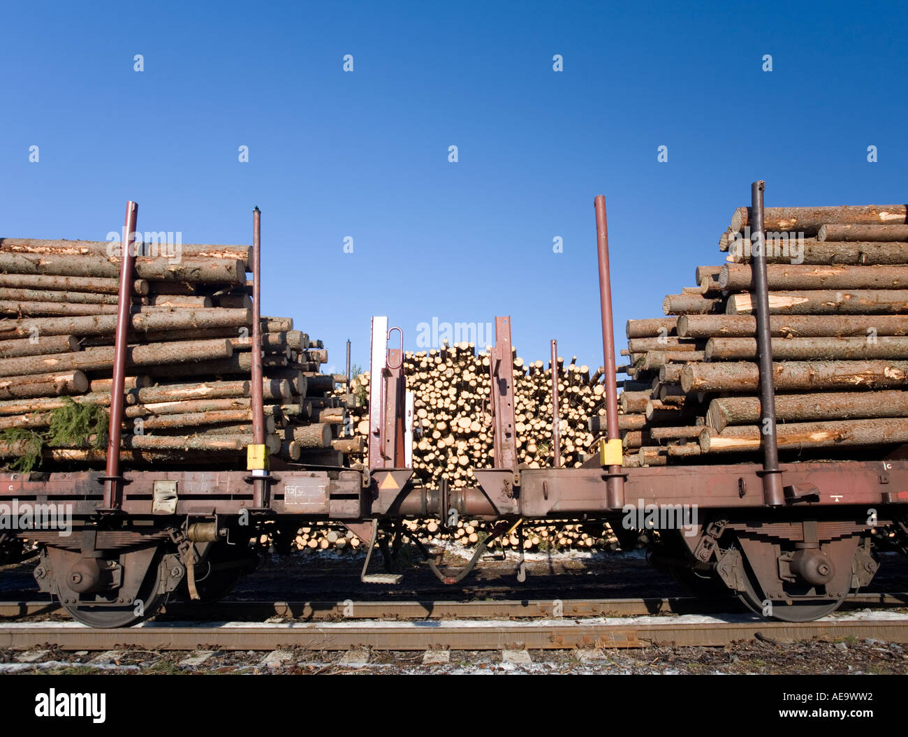 Spruce logs ( picea abies ) loaded to railroad flatcars with stakes ...