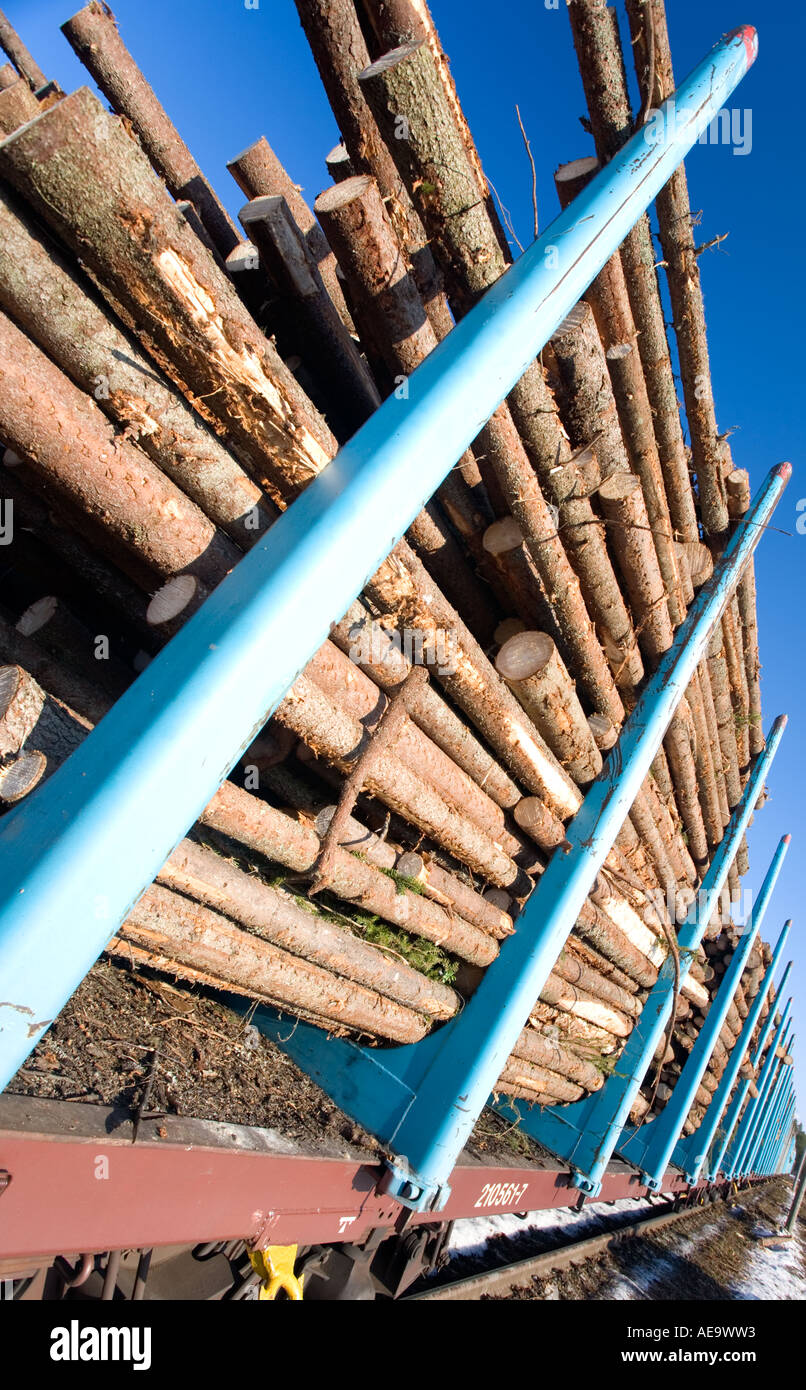 Railroad cars loaded timber hi-res stock photography and images - Alamy