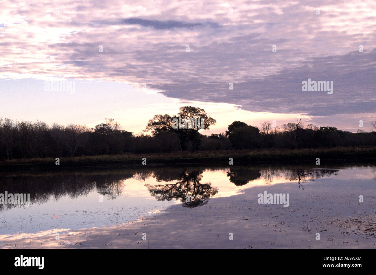 Reflections of horizon, clouds, trees, and water at sunrise Stock Photo ...