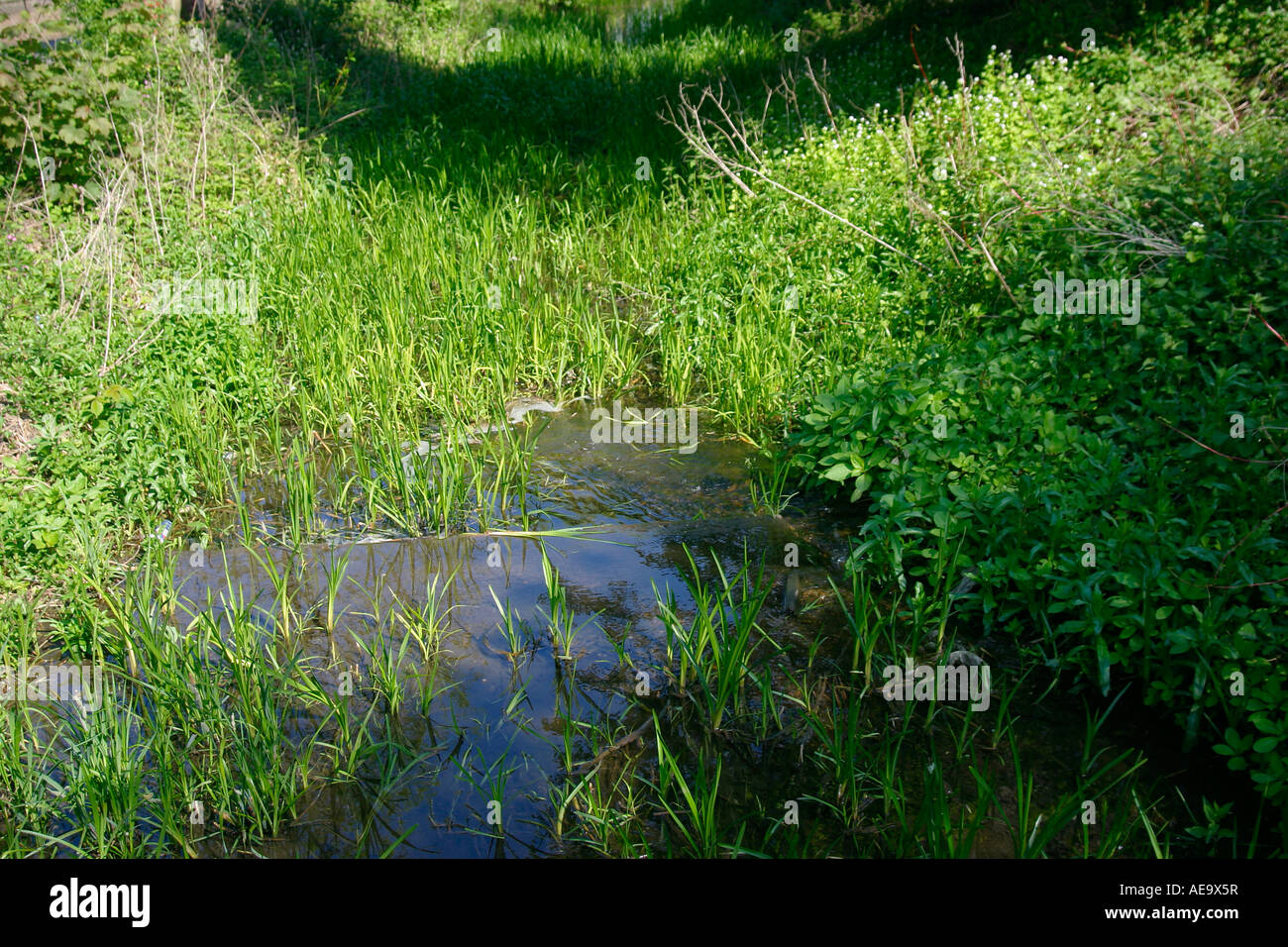 Leen hi-res stock photography and images - Alamy