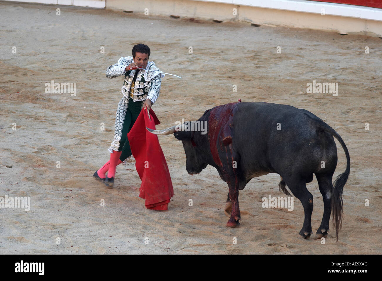 Bullfight Fiesta de San Fermin Pamplona Spain Stock Photo - Alamy