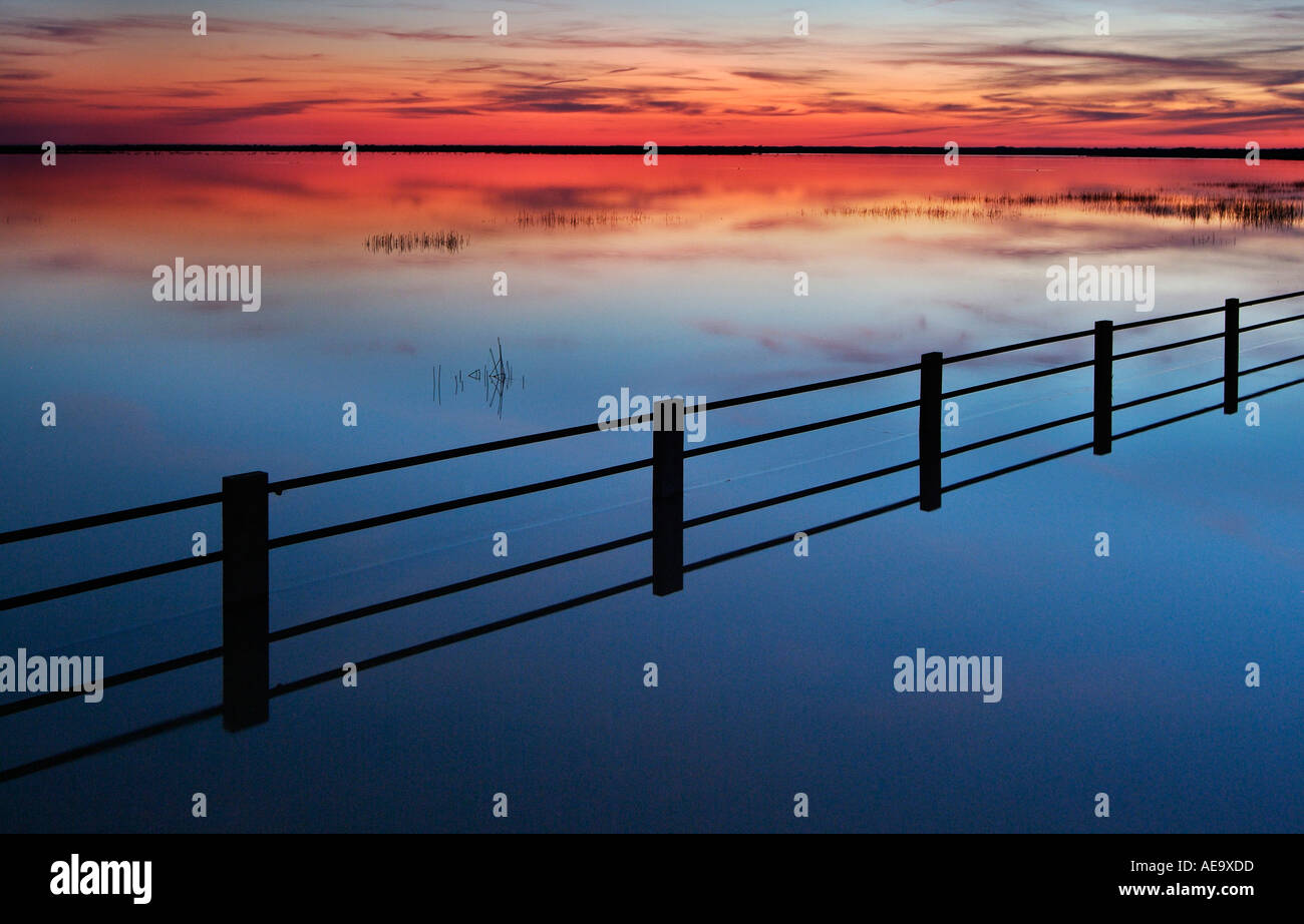 Marshland of donana hi-res stock photography and images - Alamy