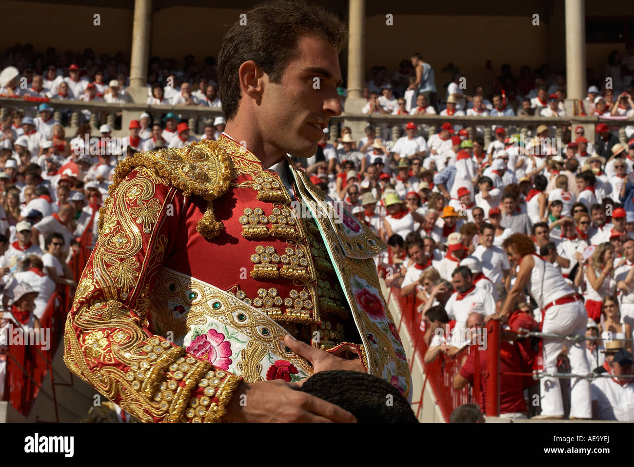 Fiesta de san fermin pamplona bull running fighting bull hi-res stock ...