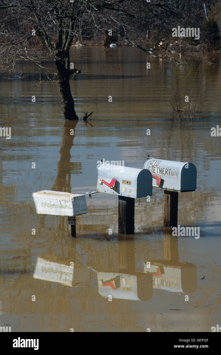 Mailboxes in flood waters Stock Photo - Alamy