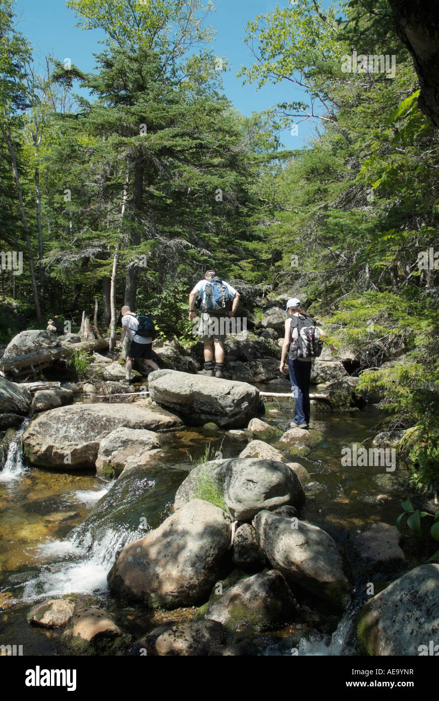 Group of hikers crossing a brook on the Rocky Branch Trail in the White ...