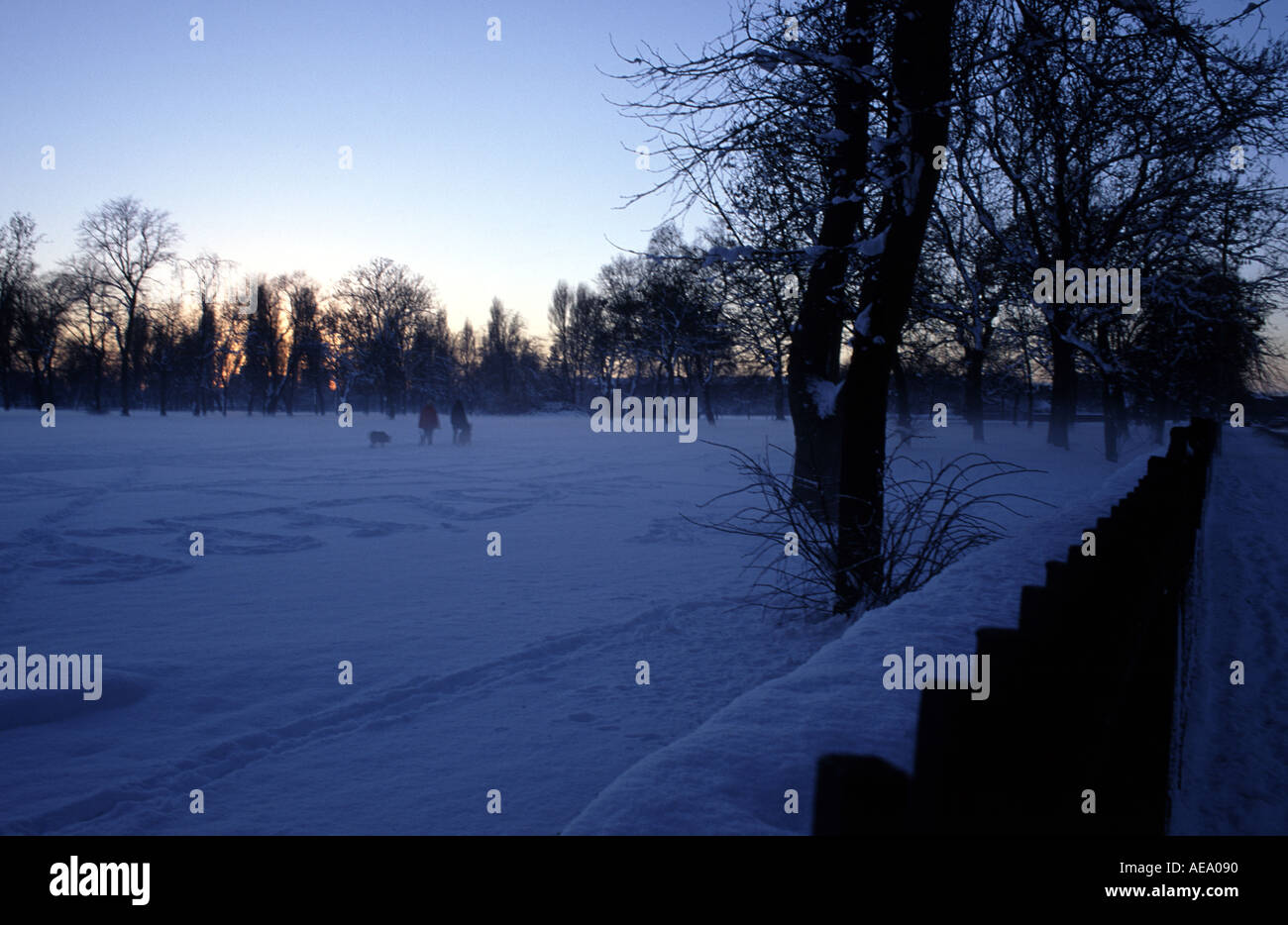 Elder Park Govan Glasgow Stock Photo - Alamy Elder Park Govan Glasgow Stock Photo - Alamy