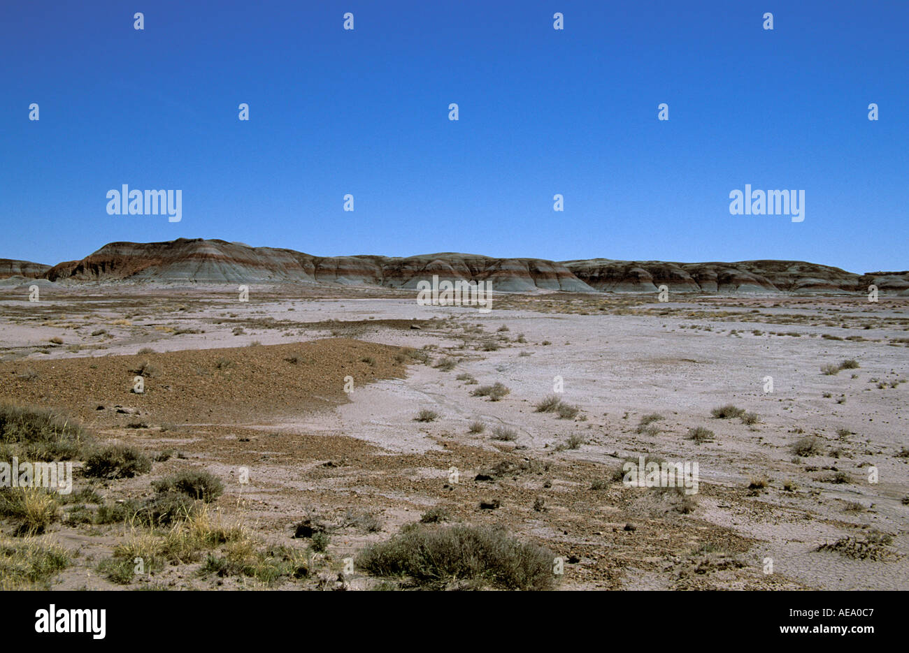 Petrified Forest National Park Arizona USA Painted Desert Stock Photo ...