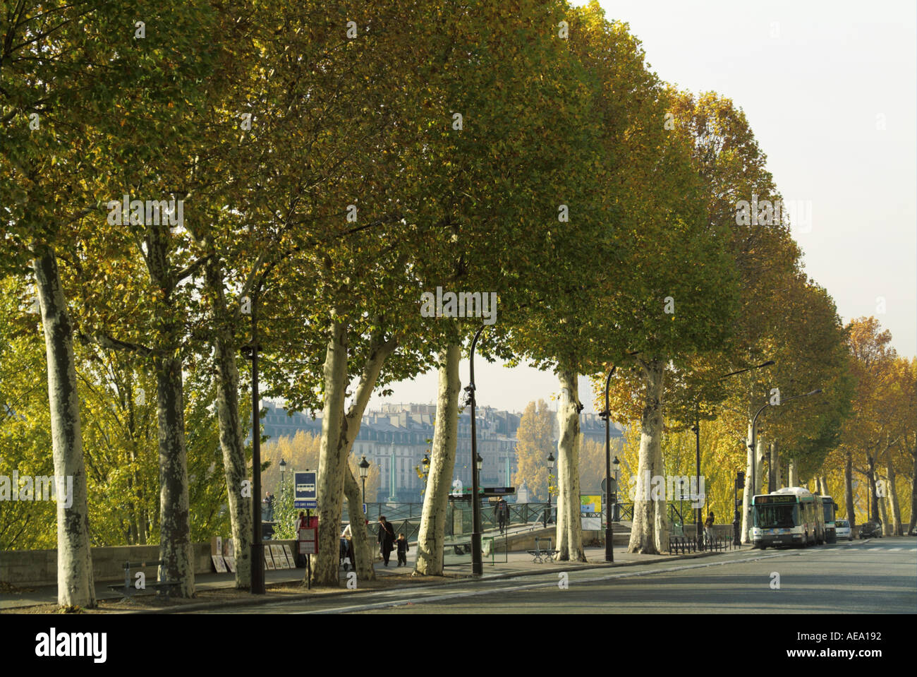 France Paris Parisian City Bus On Louvre Quai Near Seine River Banks At ...