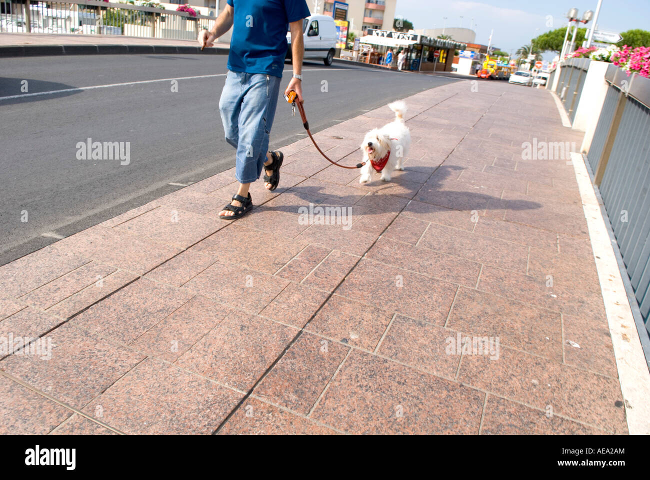 cropped view of man walking white dog across bridge during the summer ...
