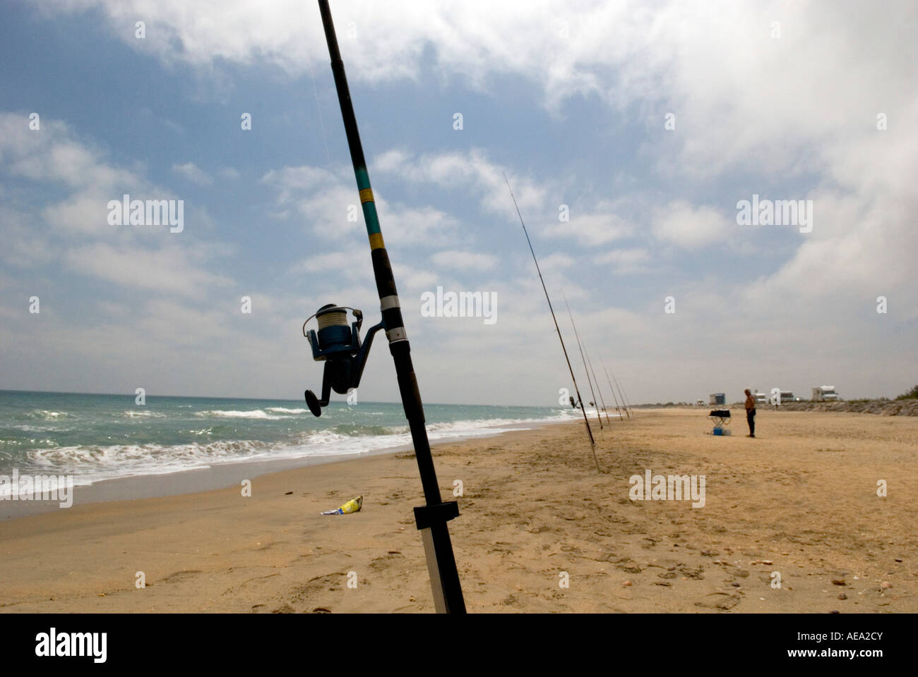 male angler on beach next to line of rods in sand waiting for fish to ...