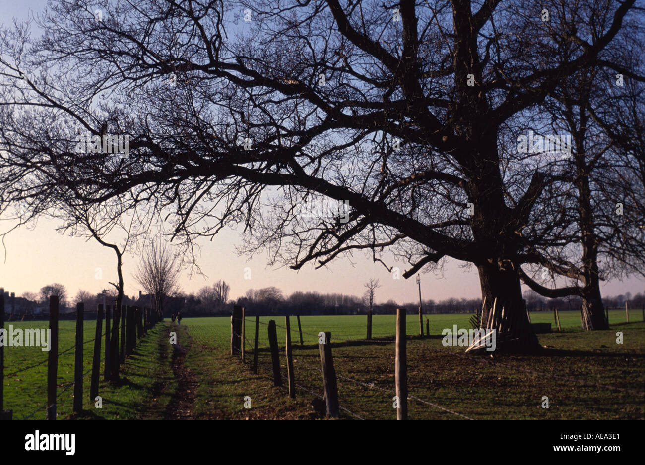 Country pathway through farmland, West London Stock Photo - Alamy