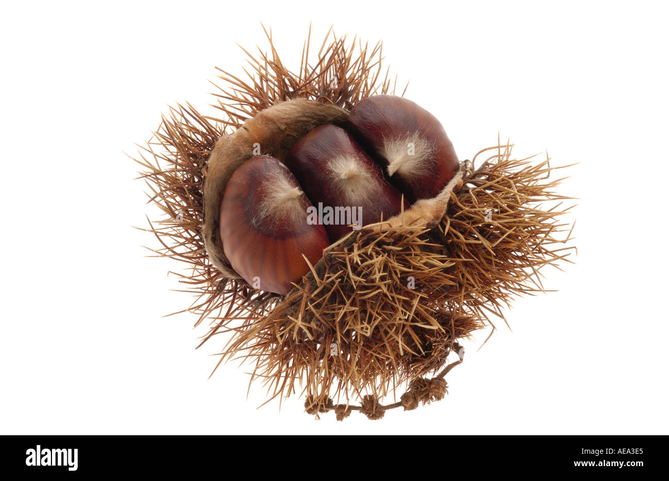 Outer casing hi-res stock photography and images - Alamy