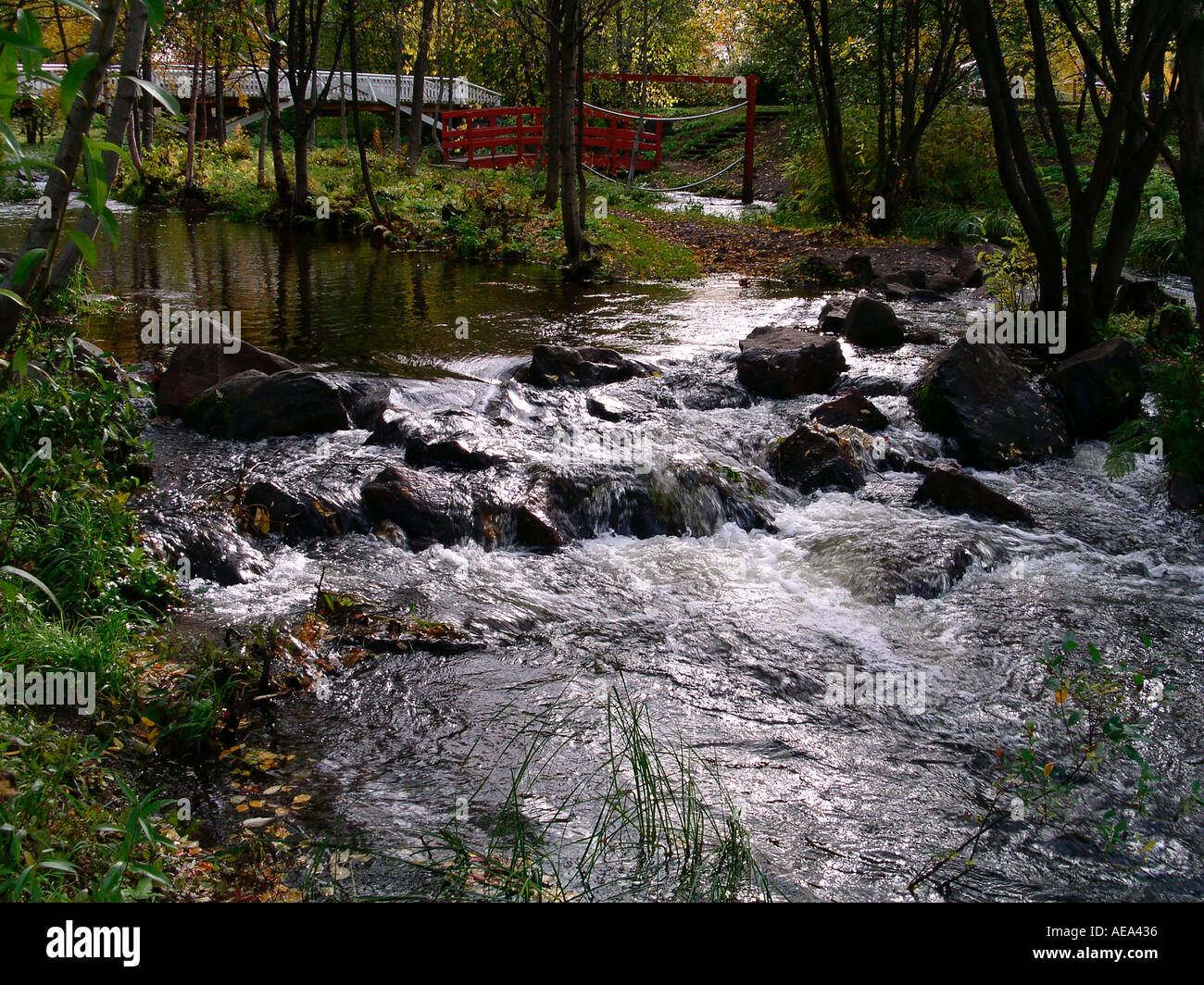 Brook with tree hi-res stock photography and images - Alamy