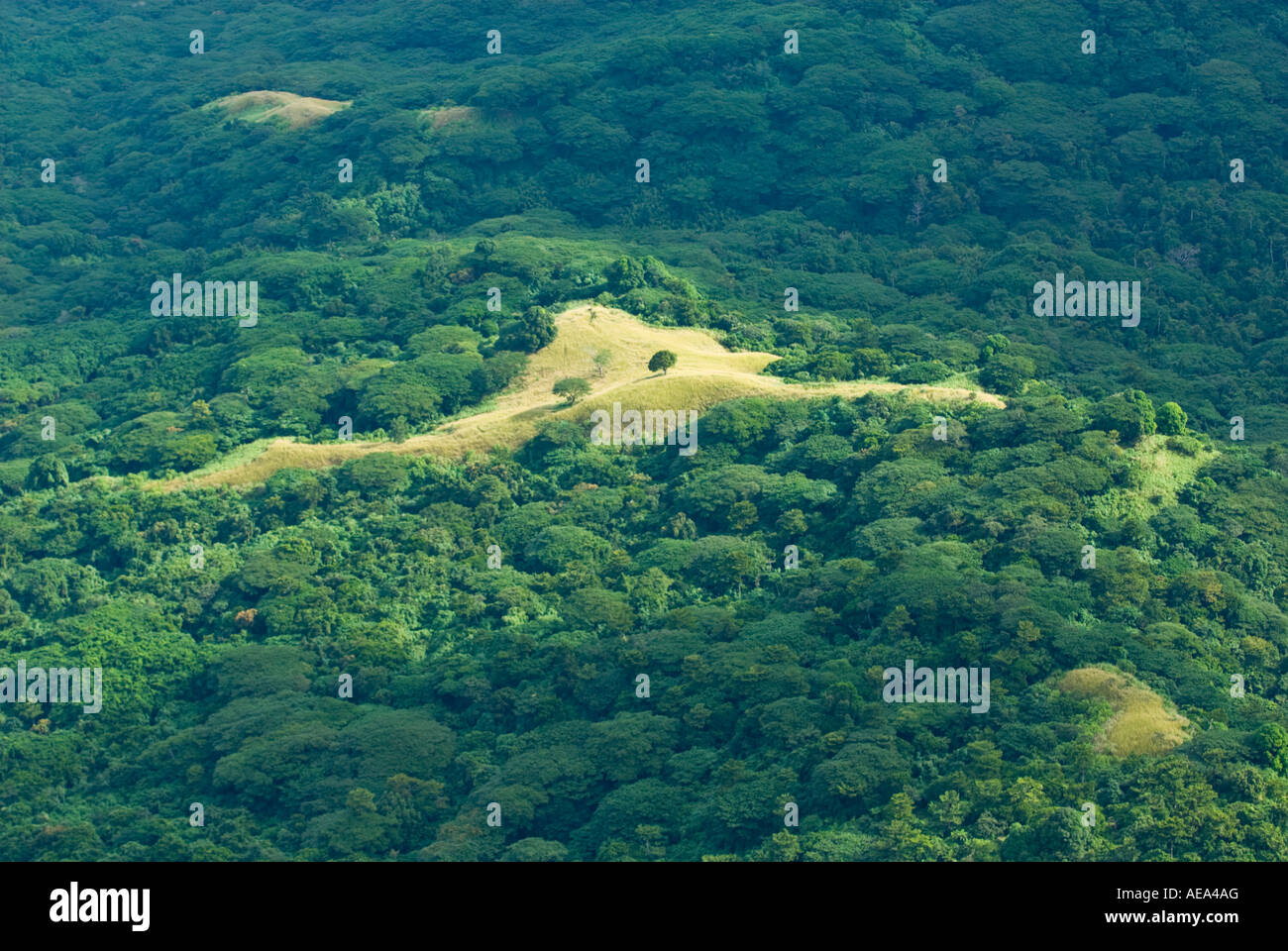 FIJI ISLANDS South southsea sea Pacific wild wilderness RAINFOREST at ...