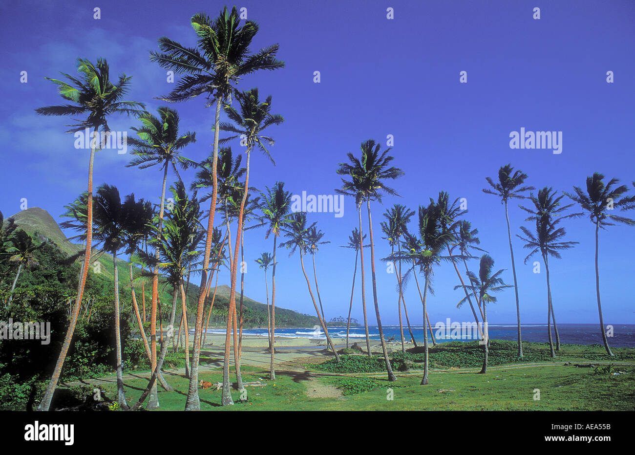 Coastal scenery on the Island of Fiji Stock Photo - Alamy