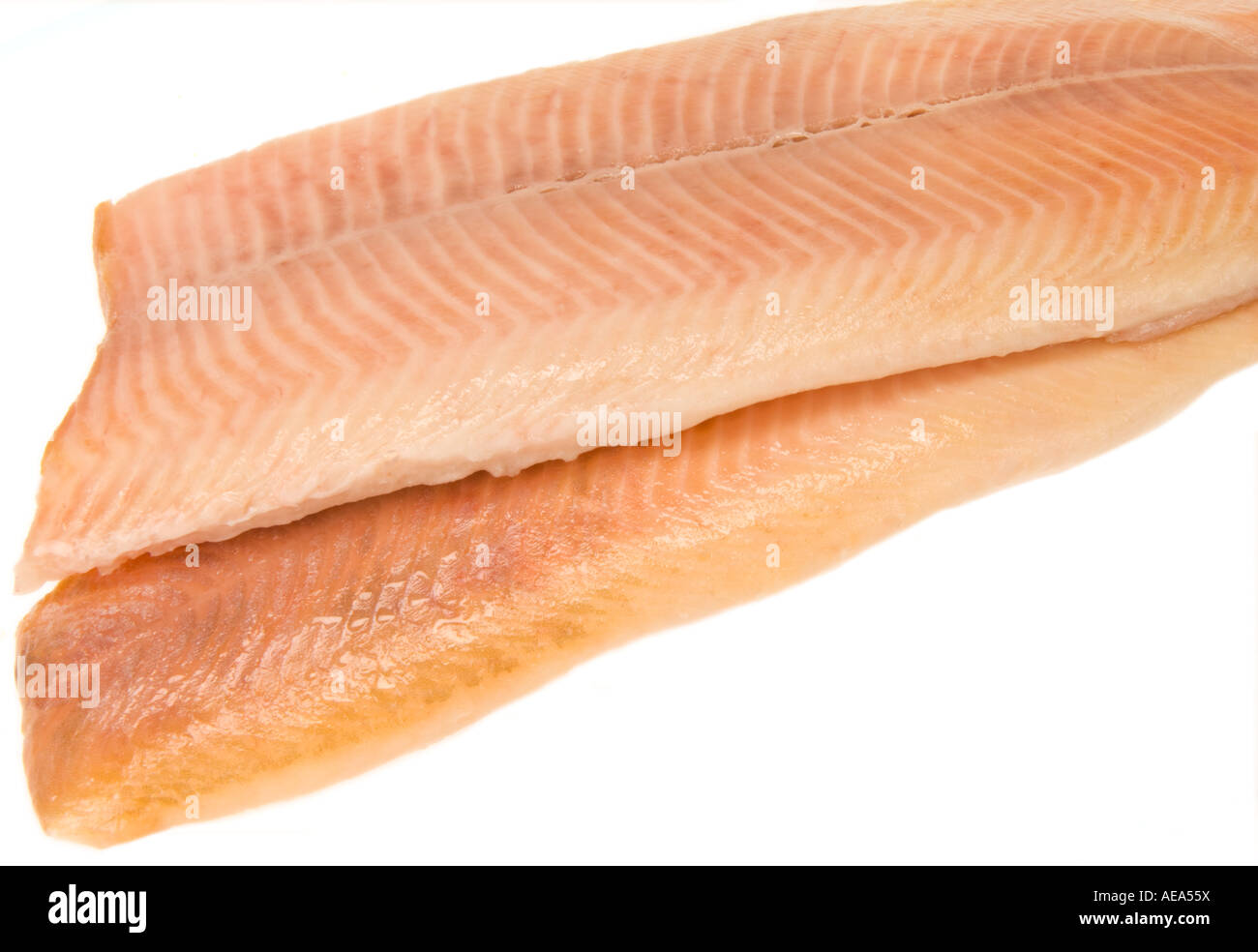 fish fillet smoked cured fumed curing kipper kippering kippered trout ...