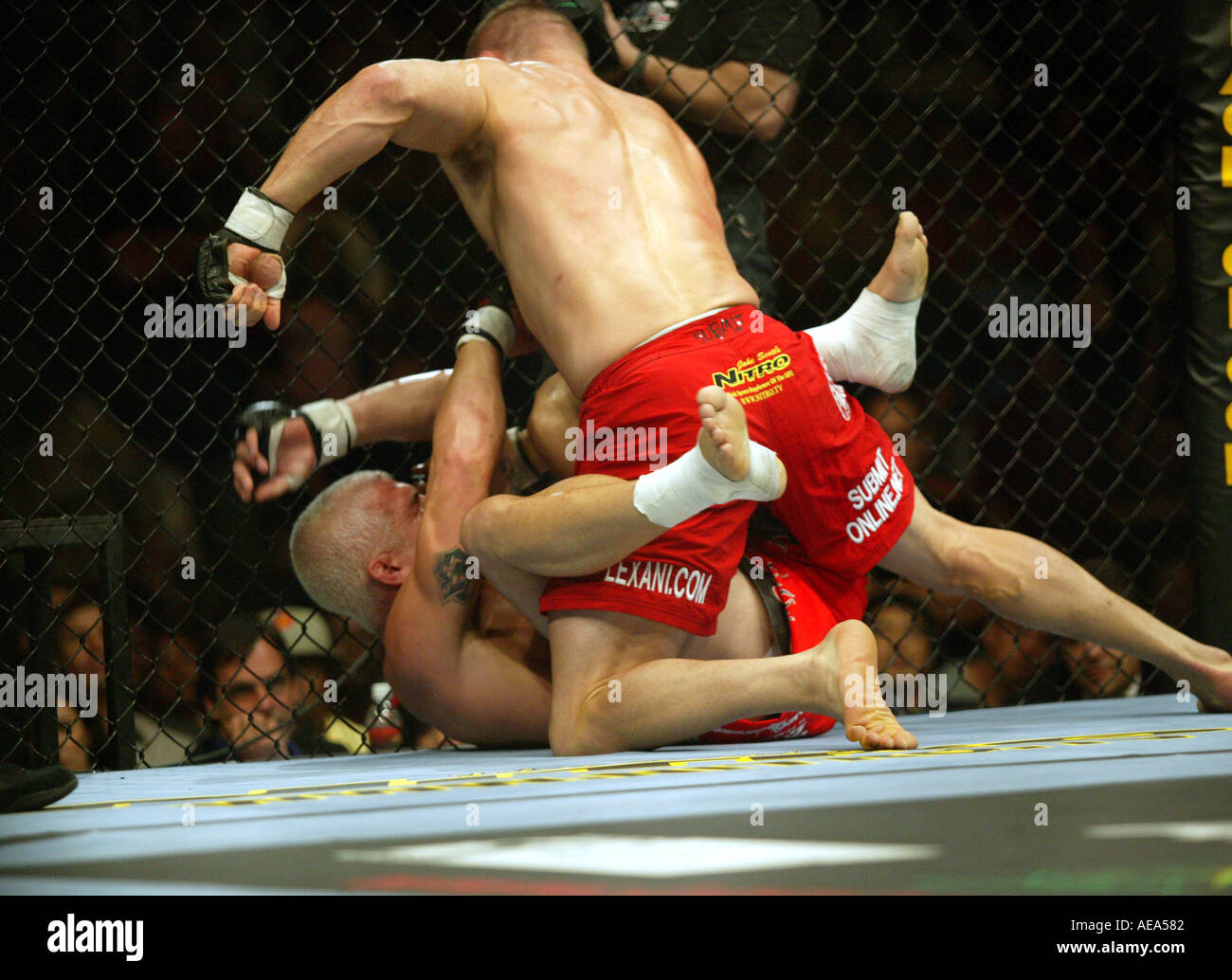 Ultimate fighting championship las vegas Stock Photo - Alamy