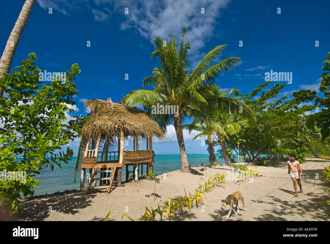 Traditional samoan house hi-res stock photography and images - Alamy