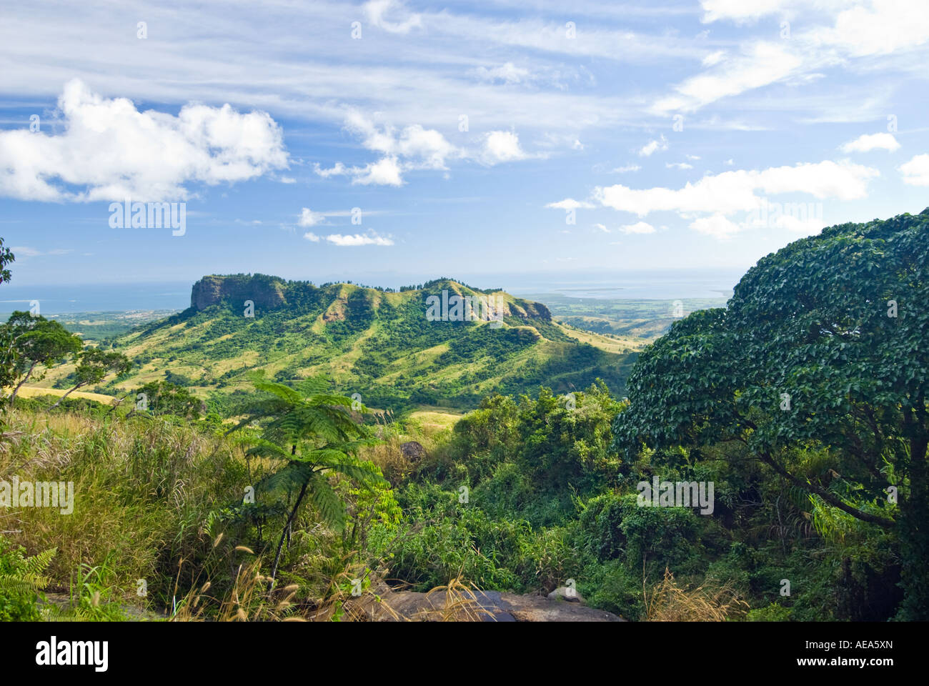 FIJI ISLANDS South southsea sea Pacific wild wilderness RAINFOREST ...