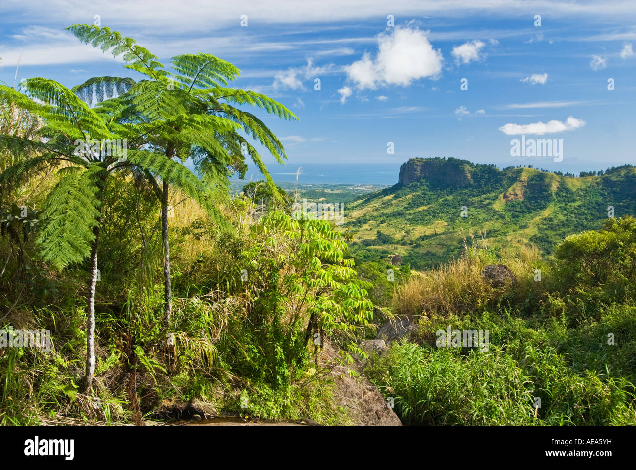 FIJI ISLANDS South southsea sea Pacific wild wilderness RAINFOREST ...
