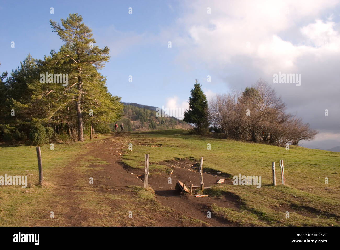 Hiking trail on Slivnica Mountain, Slovenia Stock Photo - Alamy